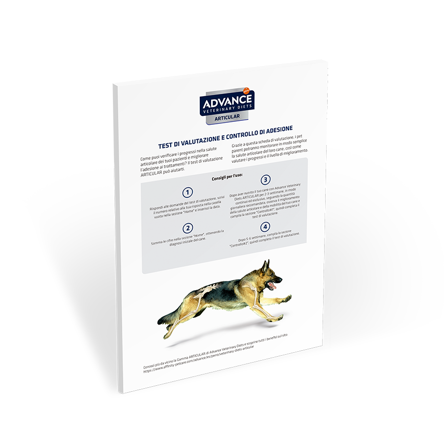 Test Valutazione Articular