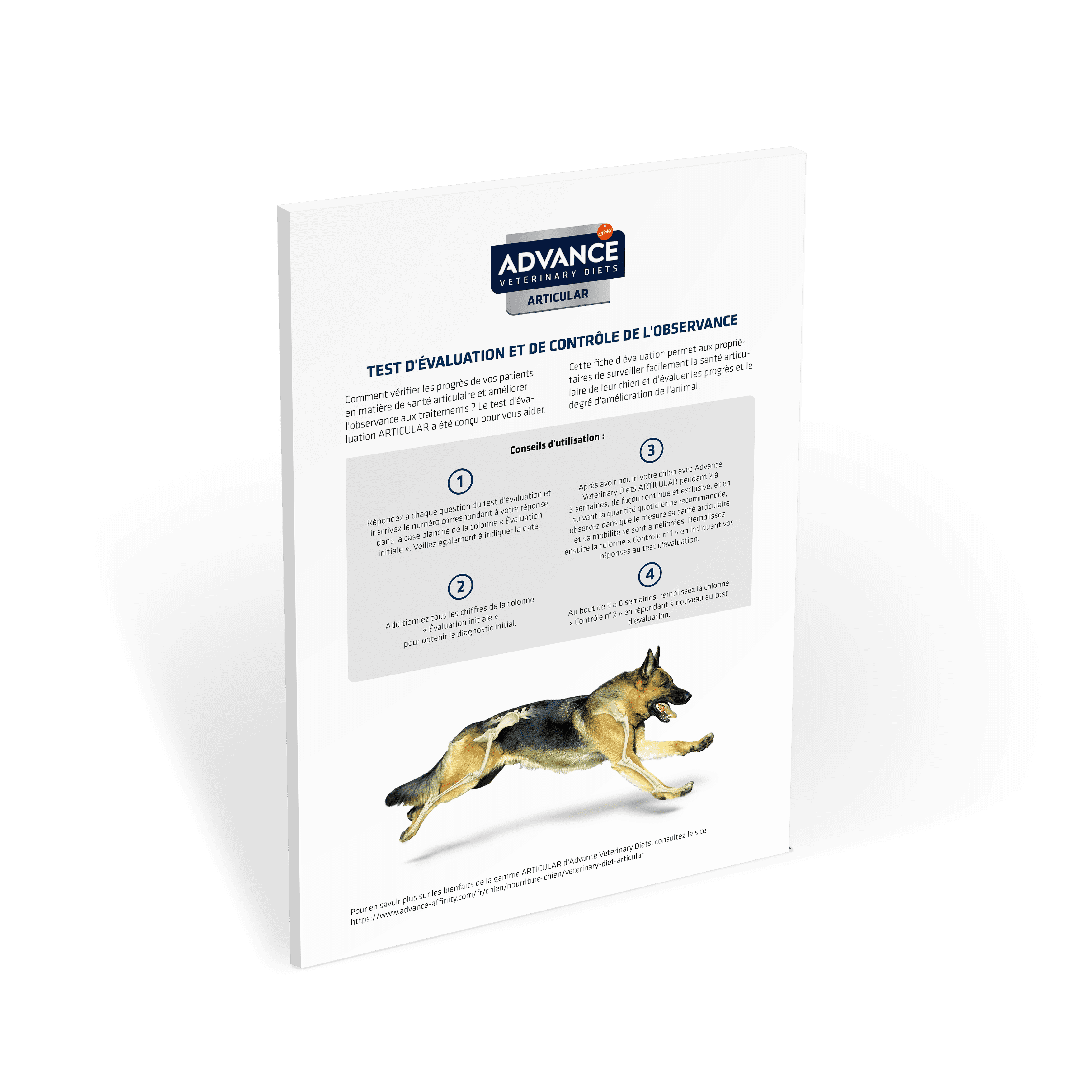 Clinical Report Evaluation Controle Observance